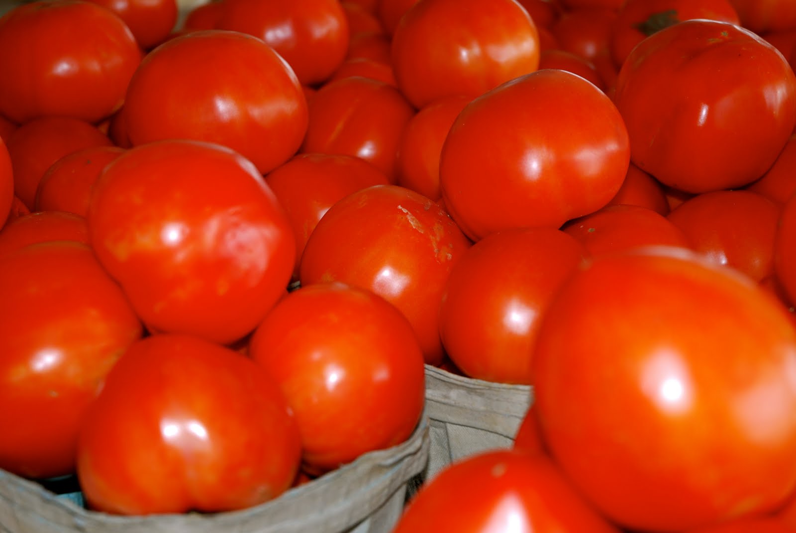 DTL Herbs LTD: Guest “Chef” Emily from The French Hutch!