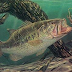 Bass Fishing - Bigger The Understanding The BIGGER The FISH. ~ Fishing ...