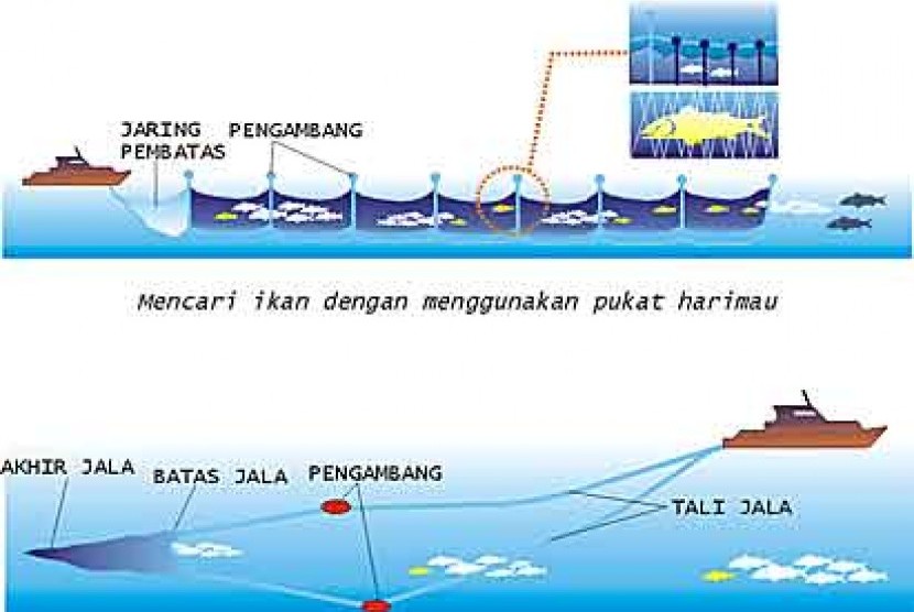 Destuctive Fishing - Lalaukan