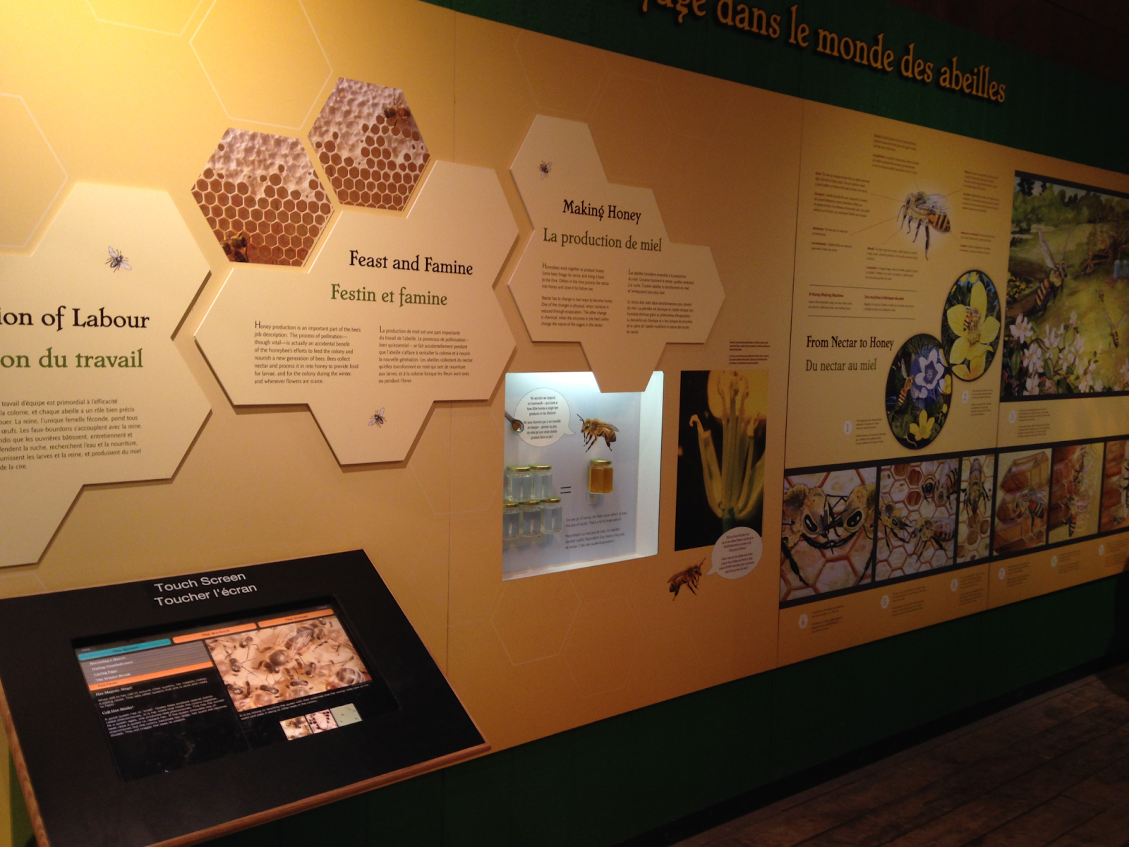 MUSINGS: EXHIBITION REVIEW: Bee Exhibit at the Museum of Food and ...