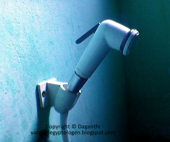 Vardagsegyptologen: Shatafa