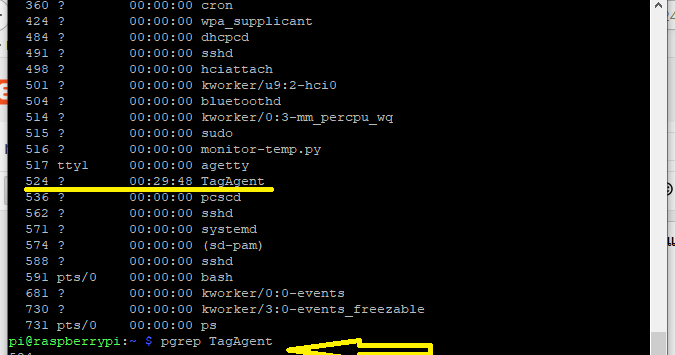 raspberry pi ไทย: check program running, crontab shell script
