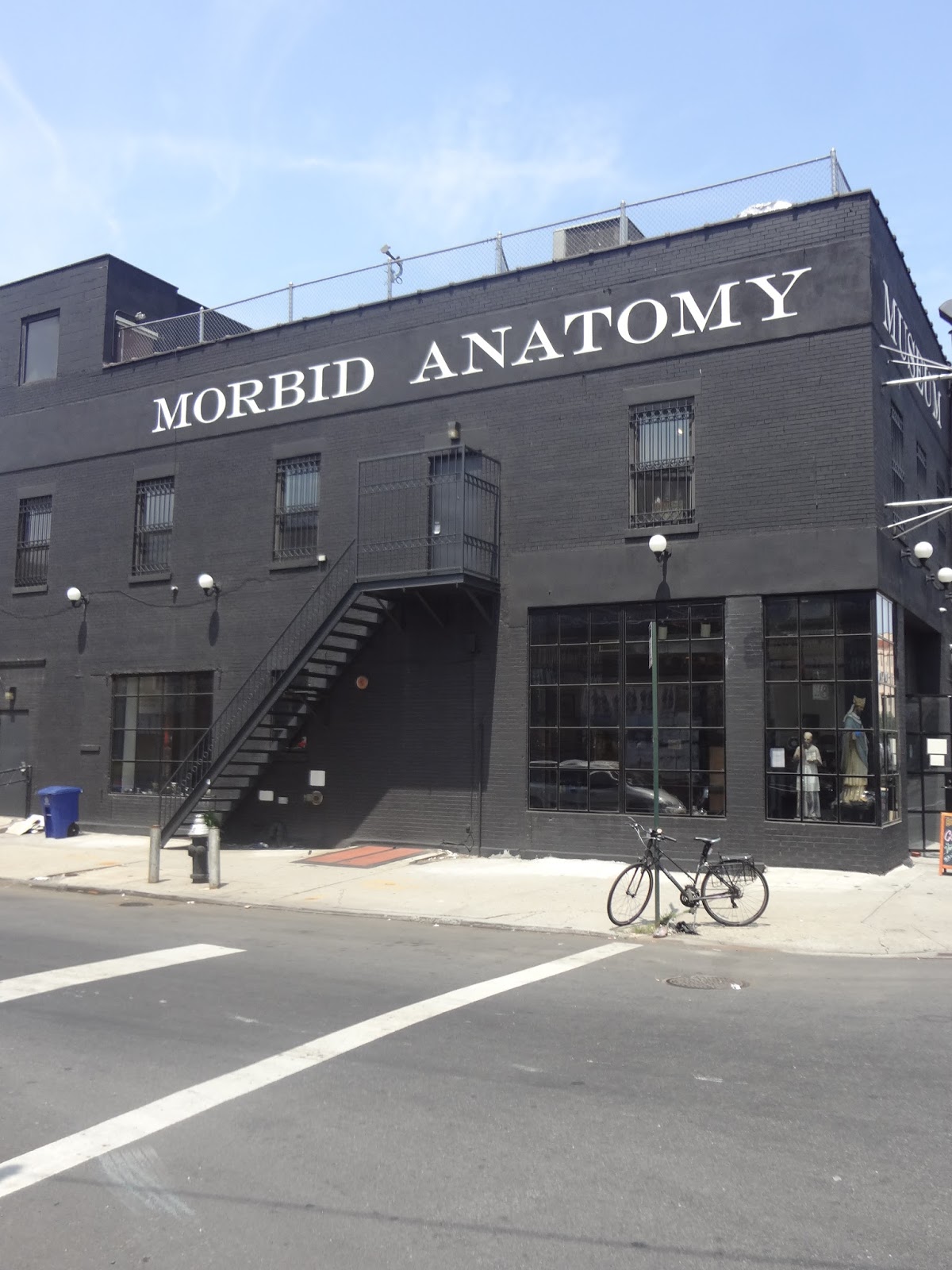 EYEPUS: "MORBID ANATOMY MUSEUM" - NOT WORTH THE PRICE OF ADMISSION.