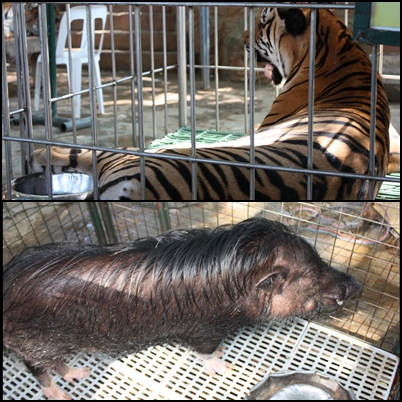 Baluarte ni Chavit Singson ~ Dream! Explore! Discover!