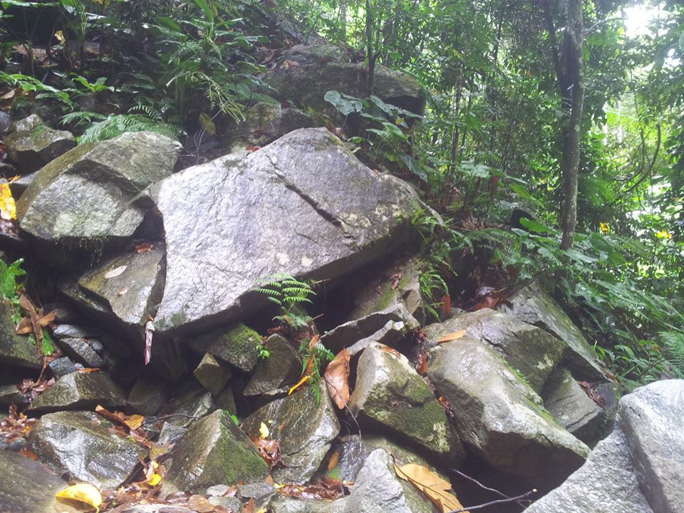 Mountain Climbing in Mt. Diwata - All Things Bright and Beautiful