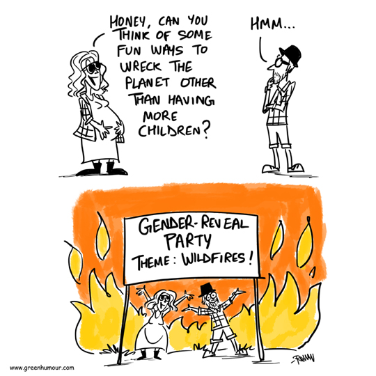 Green Humour: Gender Reveal Parties and California Bushfires