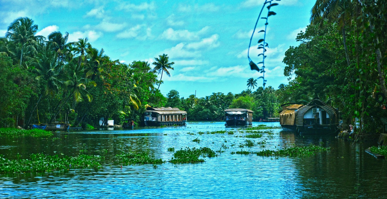 Alappuzha - Kerala - India | Travel life journeys