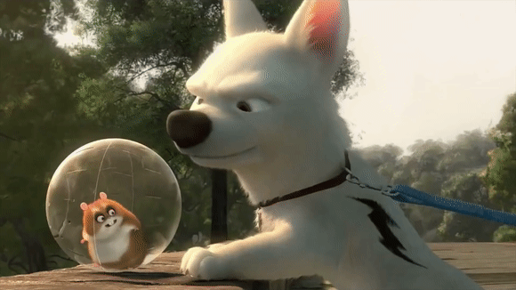 Animated Film Reviews: Bolt (2008) - Heartwarming Tale of a Seriously ...