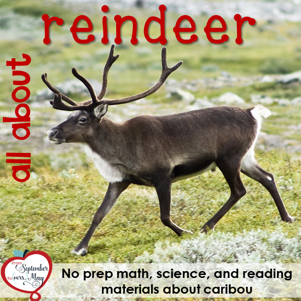 From September to (Mrs.) May: Freebie Alert!