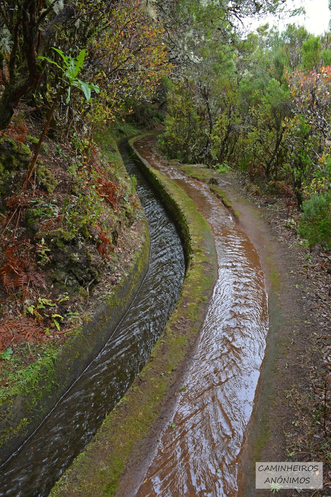 Caminheiros Anónimos Levadas da Madeira : Levada Grande do Paul (Calheta)