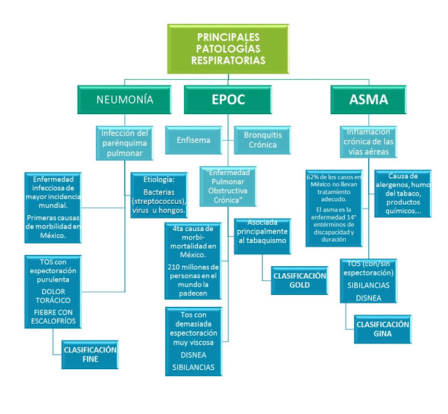 Fisioterapia Respiratoria: julio 2017