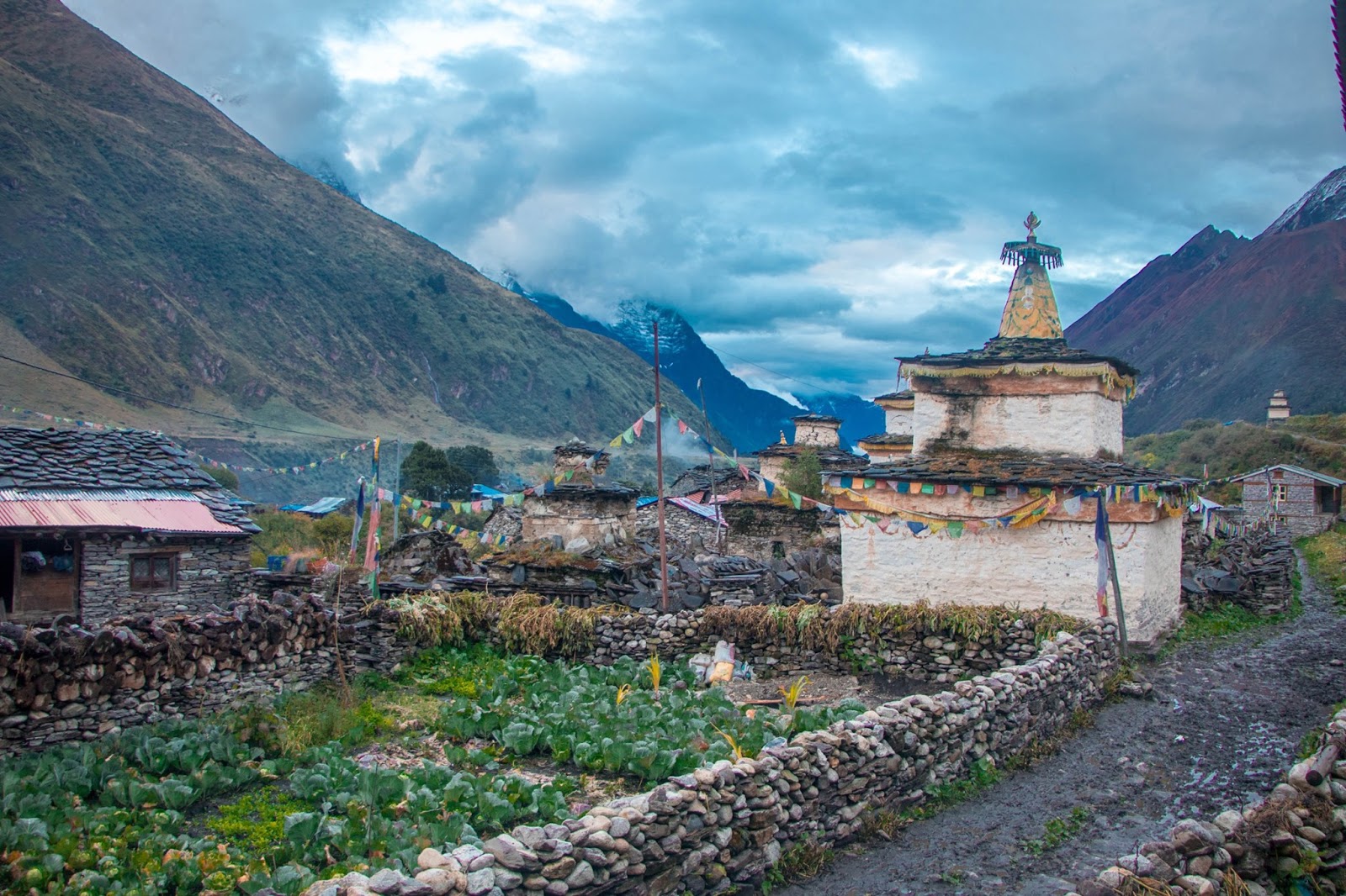 How to Trek the Manaslu Circuit in 10 days? My Travelogue! ~ Surath ...
