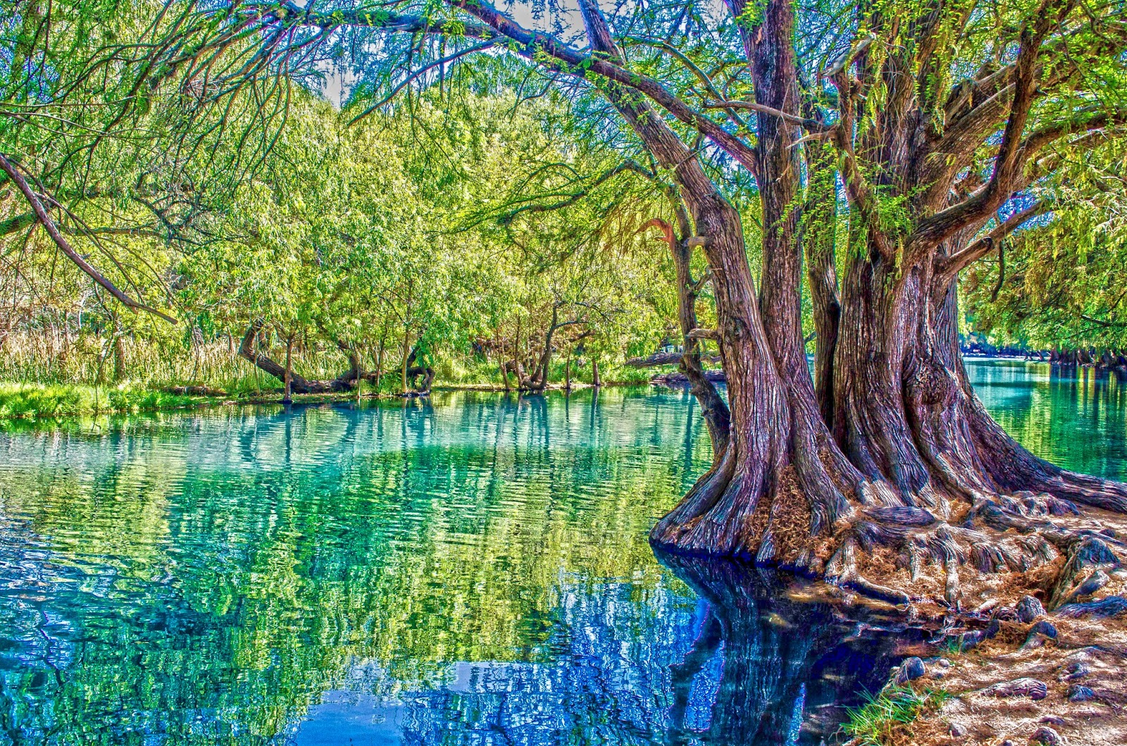 Jaime Ramos Méndez: Lago de Camécuaro en el municipio de Tangancícuaro ...