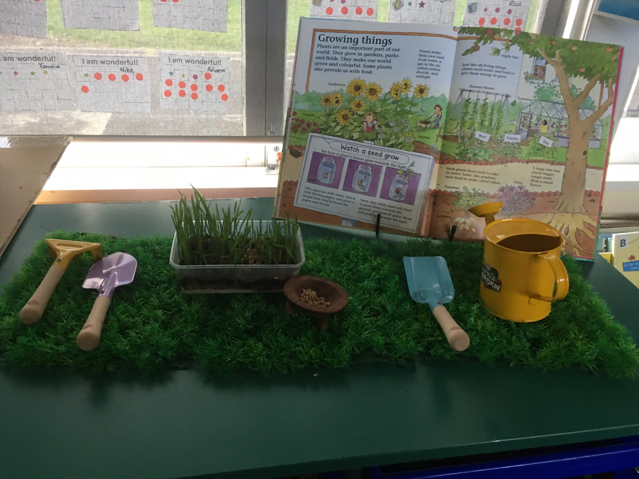 Room 1 Active Learners @ Glenbrae School: Room 1's Garden Display Area