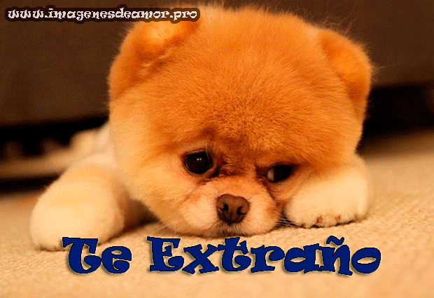 Imagenes de Te Extraño. Fotos con Frases Extrañar ⭐【 DESCARGAR IMAGENES ...