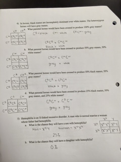 Mr Smirk s Bio 1 Hub Key Practice Problems For Genetics Assessment mr-smirk-s-bio-1-hub-key-practice-problems-for-genetics-assessment