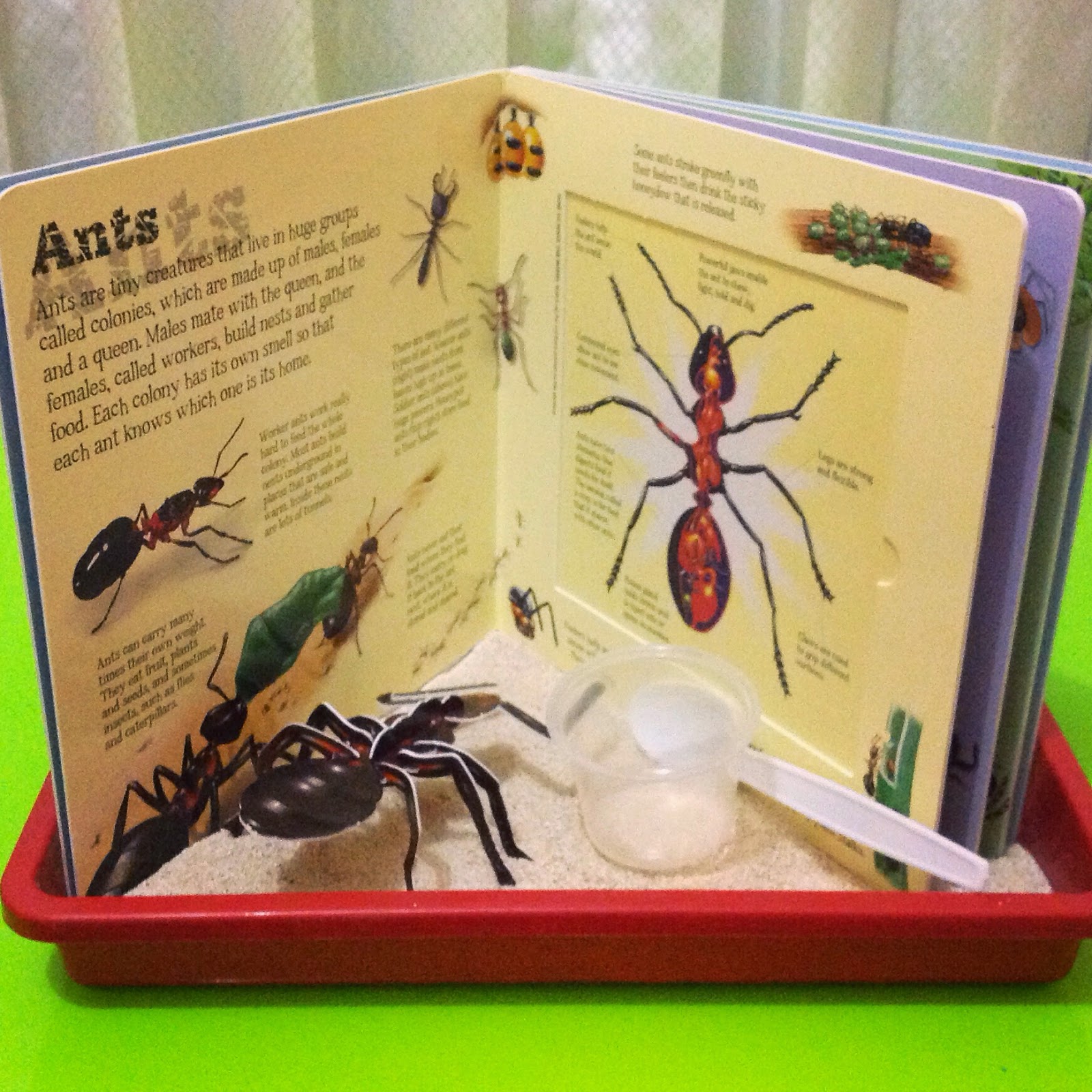 Raising A Montessorian: Book-based Activities: Ants