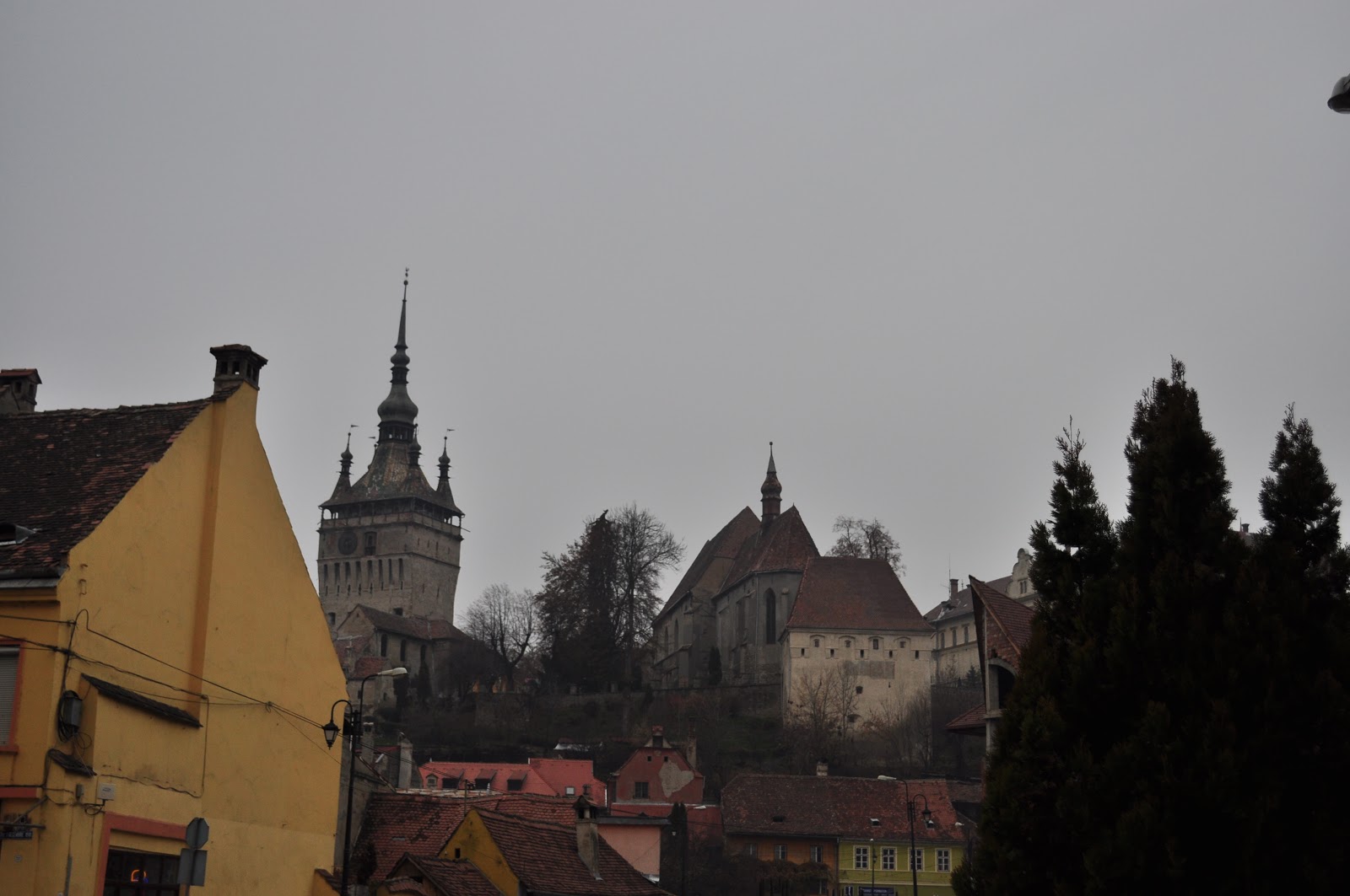 Poze, Natura, Animale, Plante, Romania, Valcea, Ionut Ungureanu
