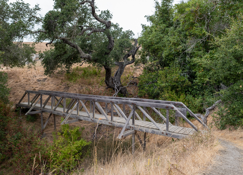 Poly Canyon / Architecture