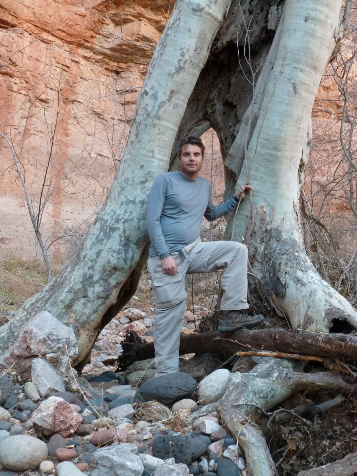 The Continuing Adventures of Eric, Noelle and Sierra: Coconino National ...