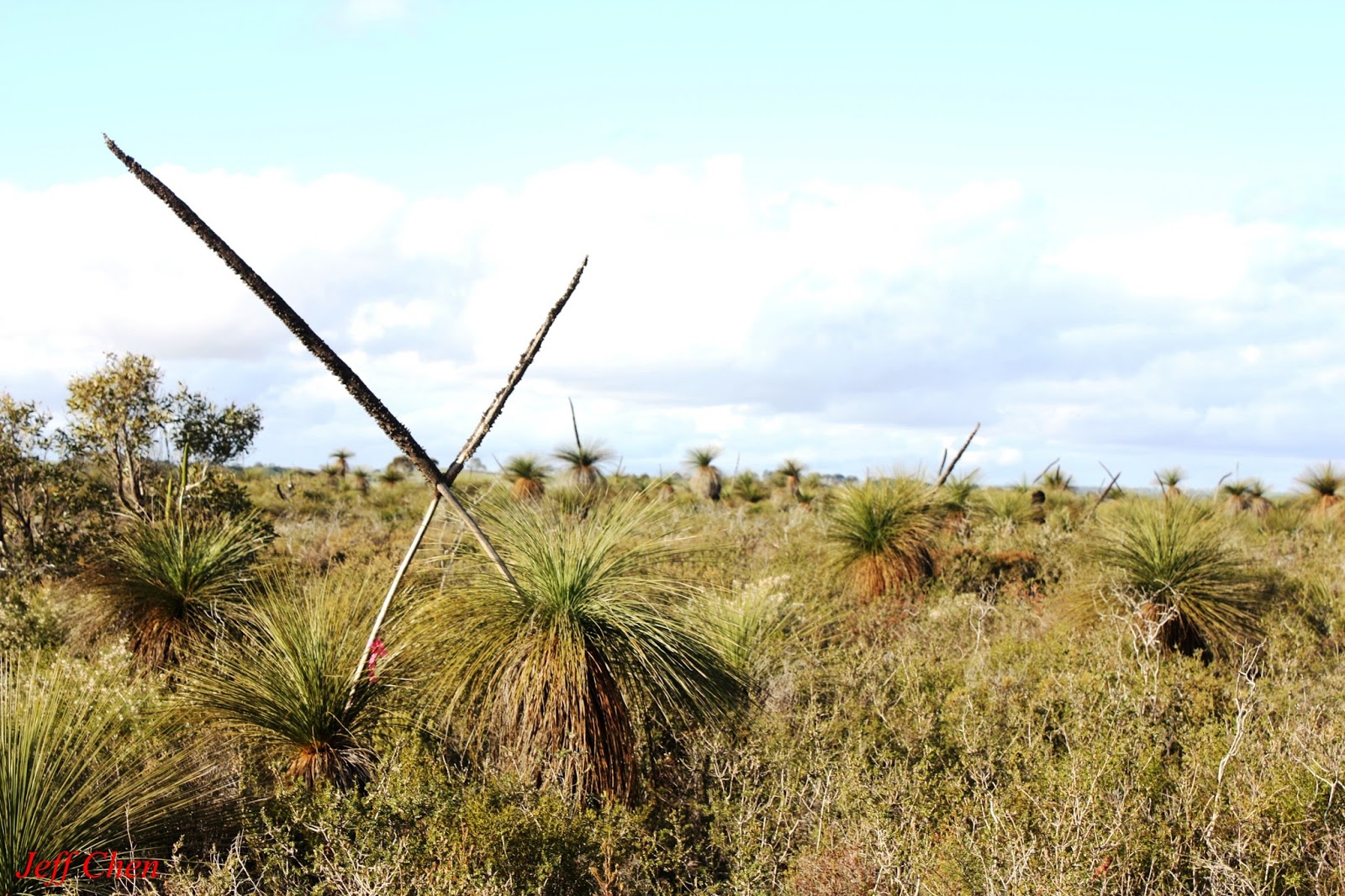 Jeff Chen旅遊登山攝影: Badgingarra National Park, WA