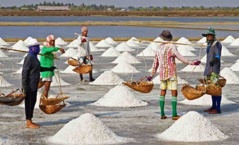 Kandungan Garam Untuk Tubuh Dan Kesehatan - IKAN DAN LAUT