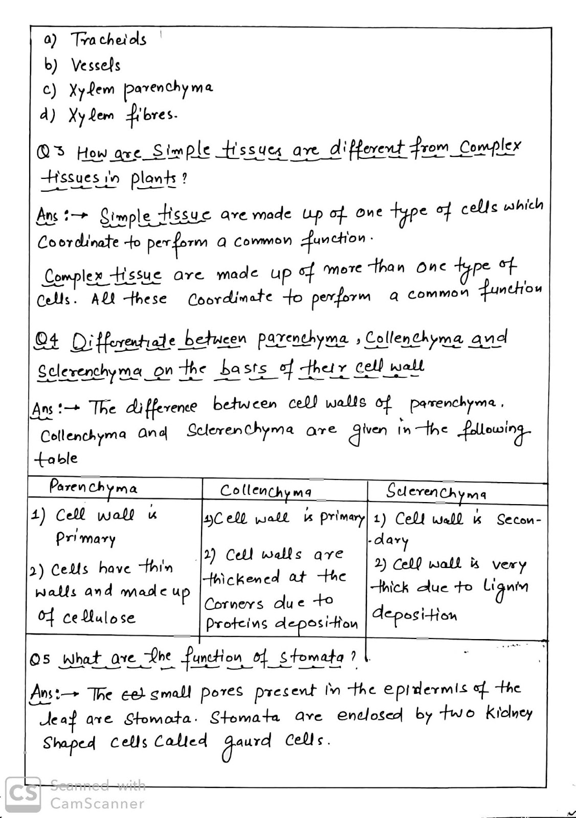Tissue Class 9th Science Handwritten Notes