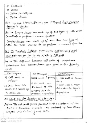 Tissue Class 9th Science Handwritten Notes