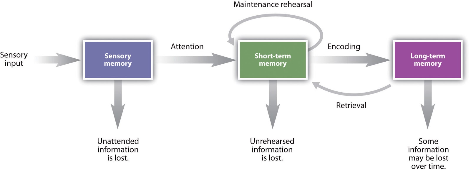 UED102 (STUDY SKILLS): MEMORY LEARNING & IMPROVING CONCENTRATION