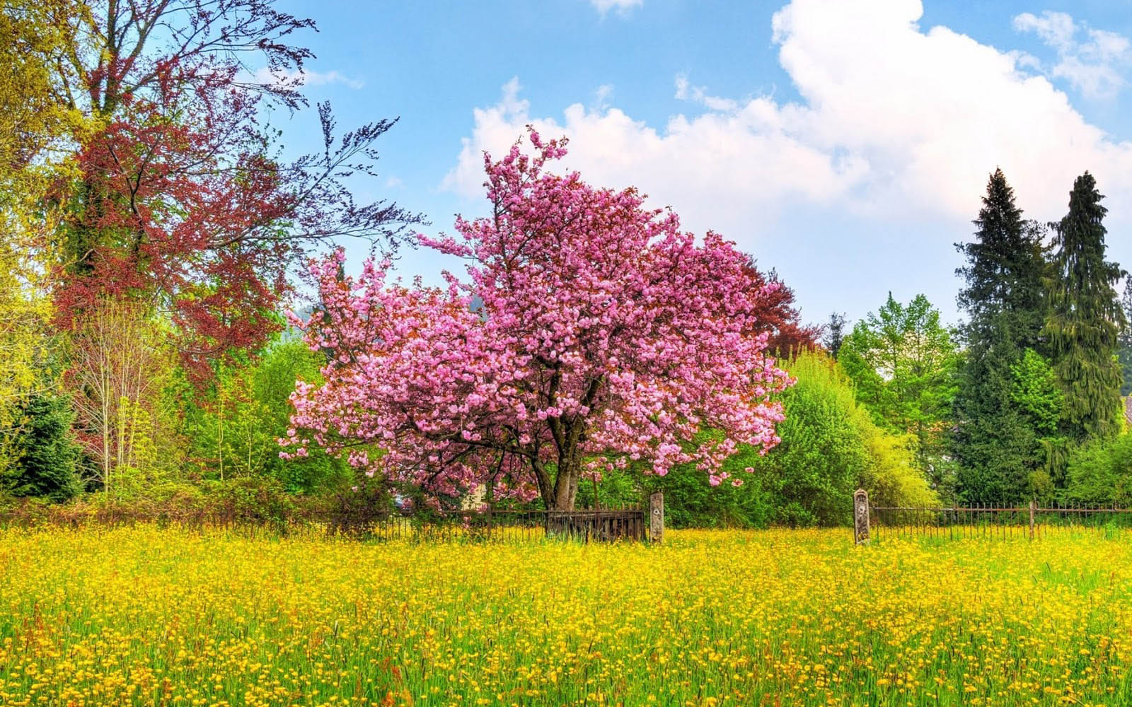 wallpapers: Spring Desktop Wallpapers and Backgrounds