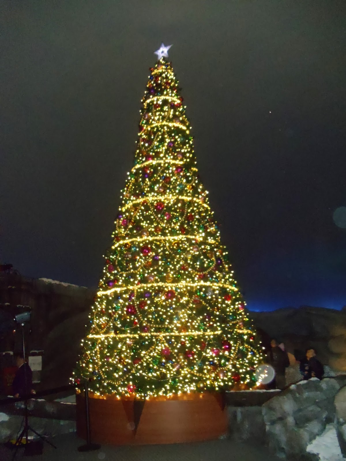 Life in the Sunshine State