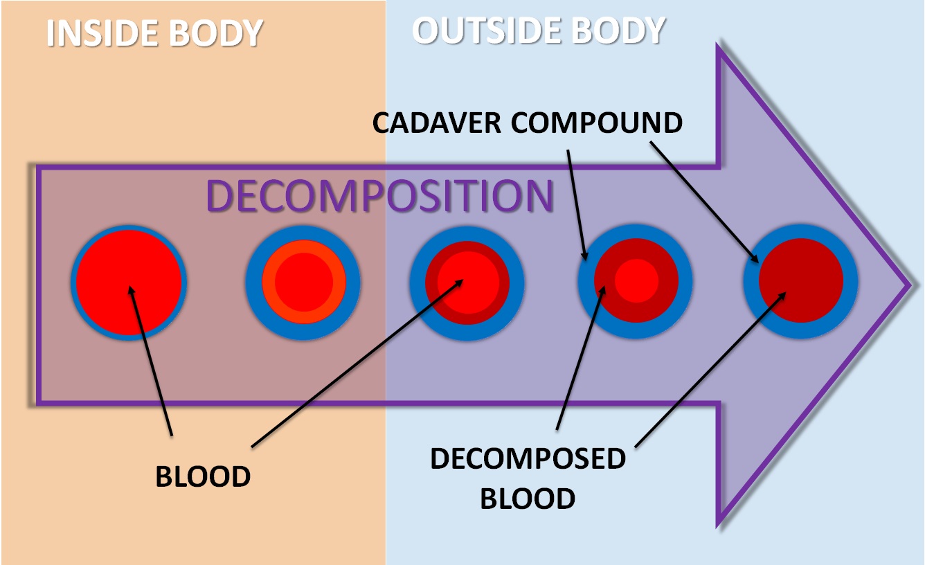 Textusa: Blood and the EVR dog - Part 2