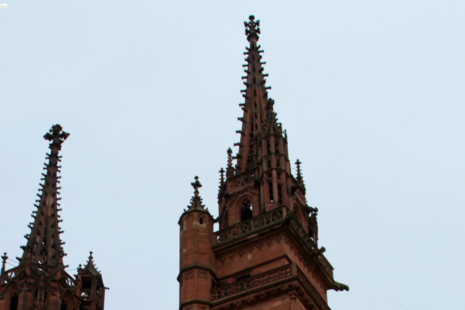 Basel Cathedral (Basel Munster) // Basel, Switzerland | Caravan Sonnet