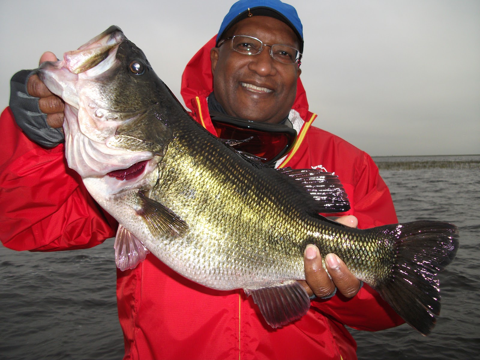 Okeechobee Fishing Report for Okeechobee Bass Fishing: November 2012