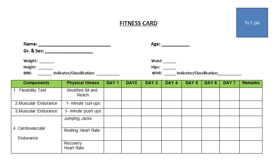 MAPEH Homepage: Physical Fitness Card | Physical Fitness Test ...