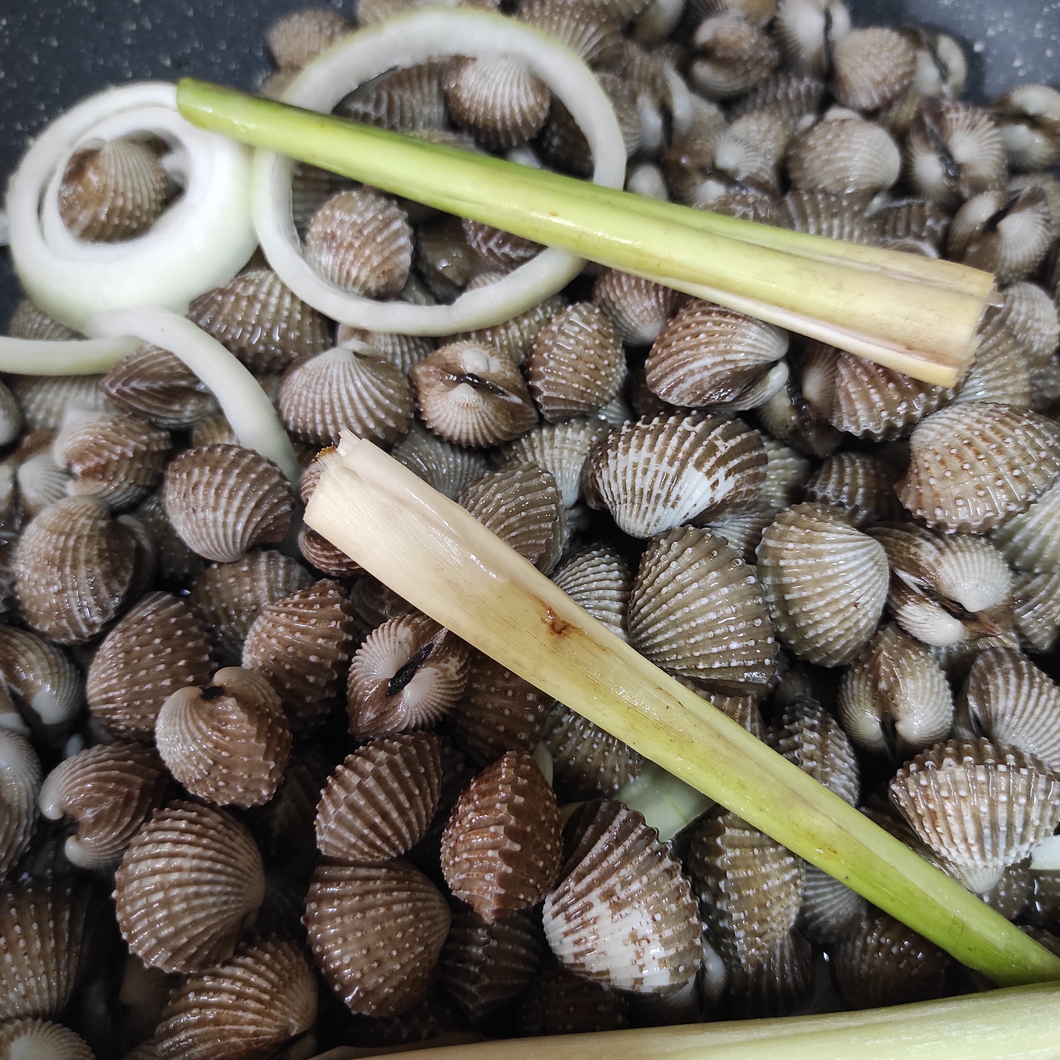 Coretan Ida Kamilia Mudzakir: Colek kerang