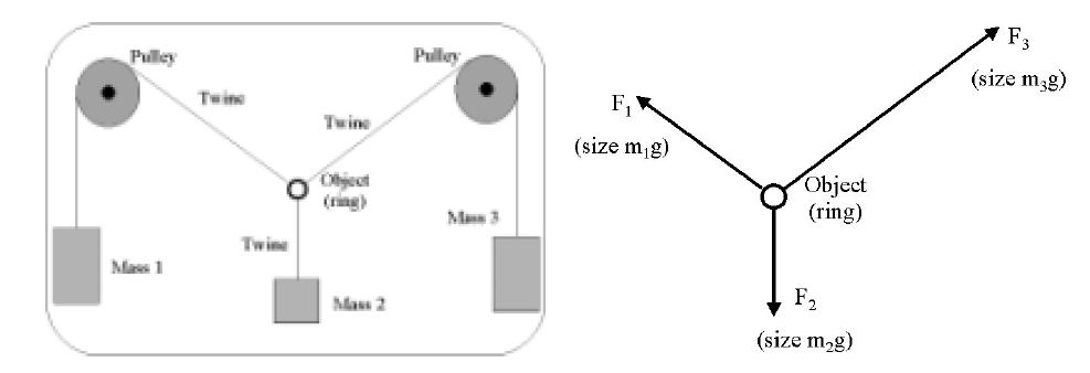 practical physics: experiment 03: FORCES OF EQUILIBRIUM