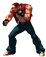 The King Of Fighters Ever: TERRY