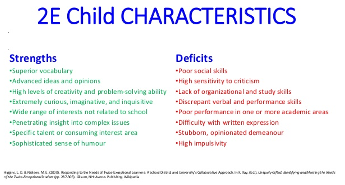 Supporting the Twice Exceptional Child