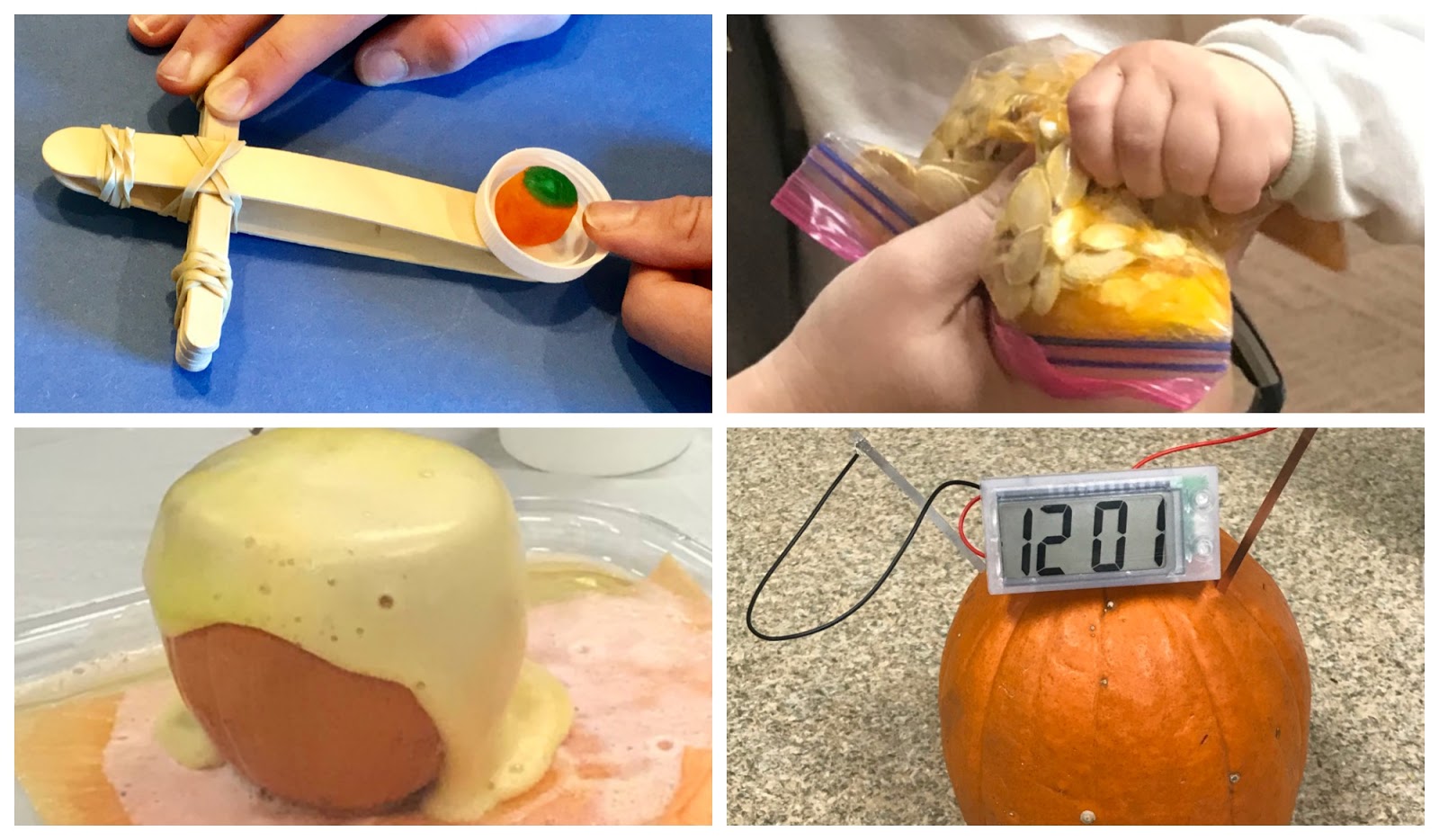 Adventures In Storytime (and Beyond): Pumpkin Science - STEM Program