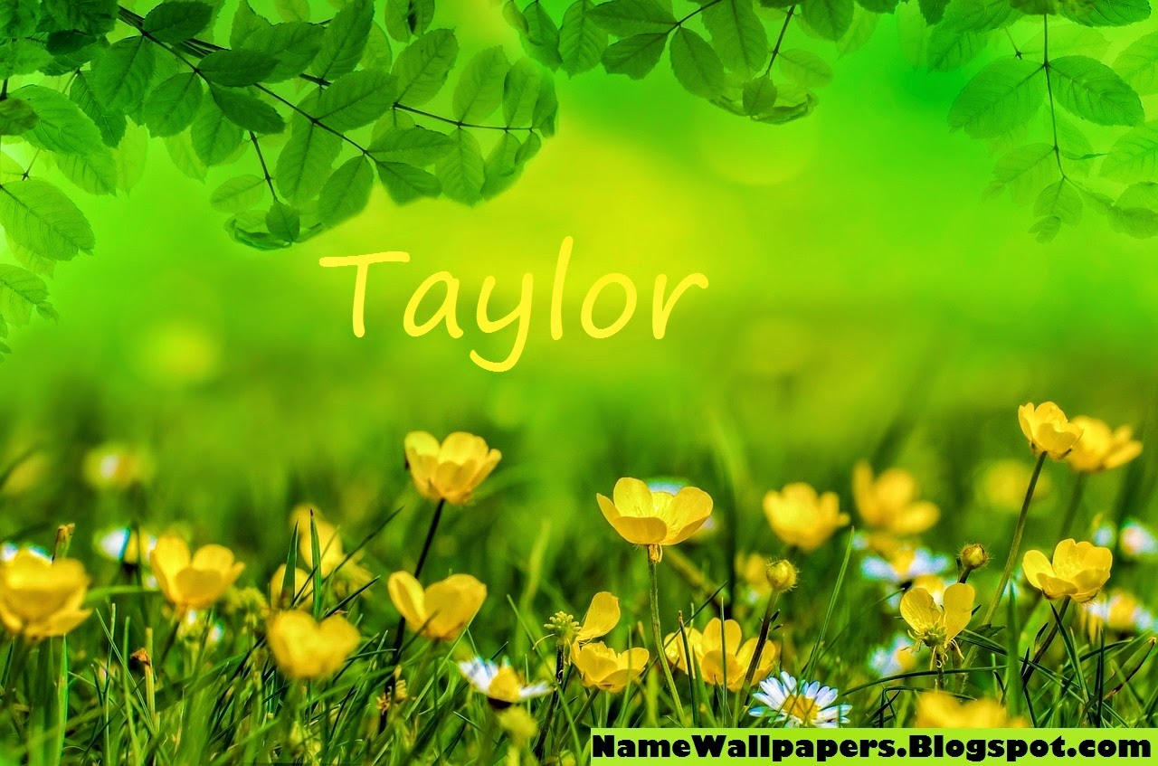 Taylor Name Wallpapers Taylor ~ Name Wallpaper Urdu Name Meaning Name ...