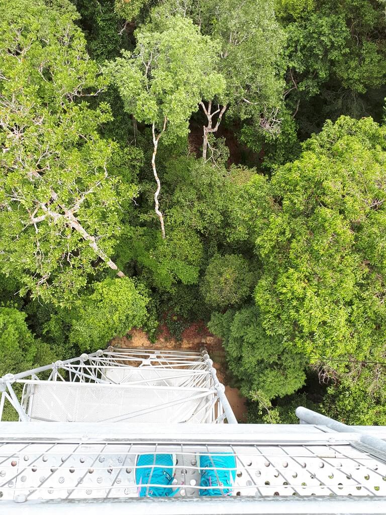 Museu da Amazônia, o MUSA, uma forma de ver a floresta amazônica em ...