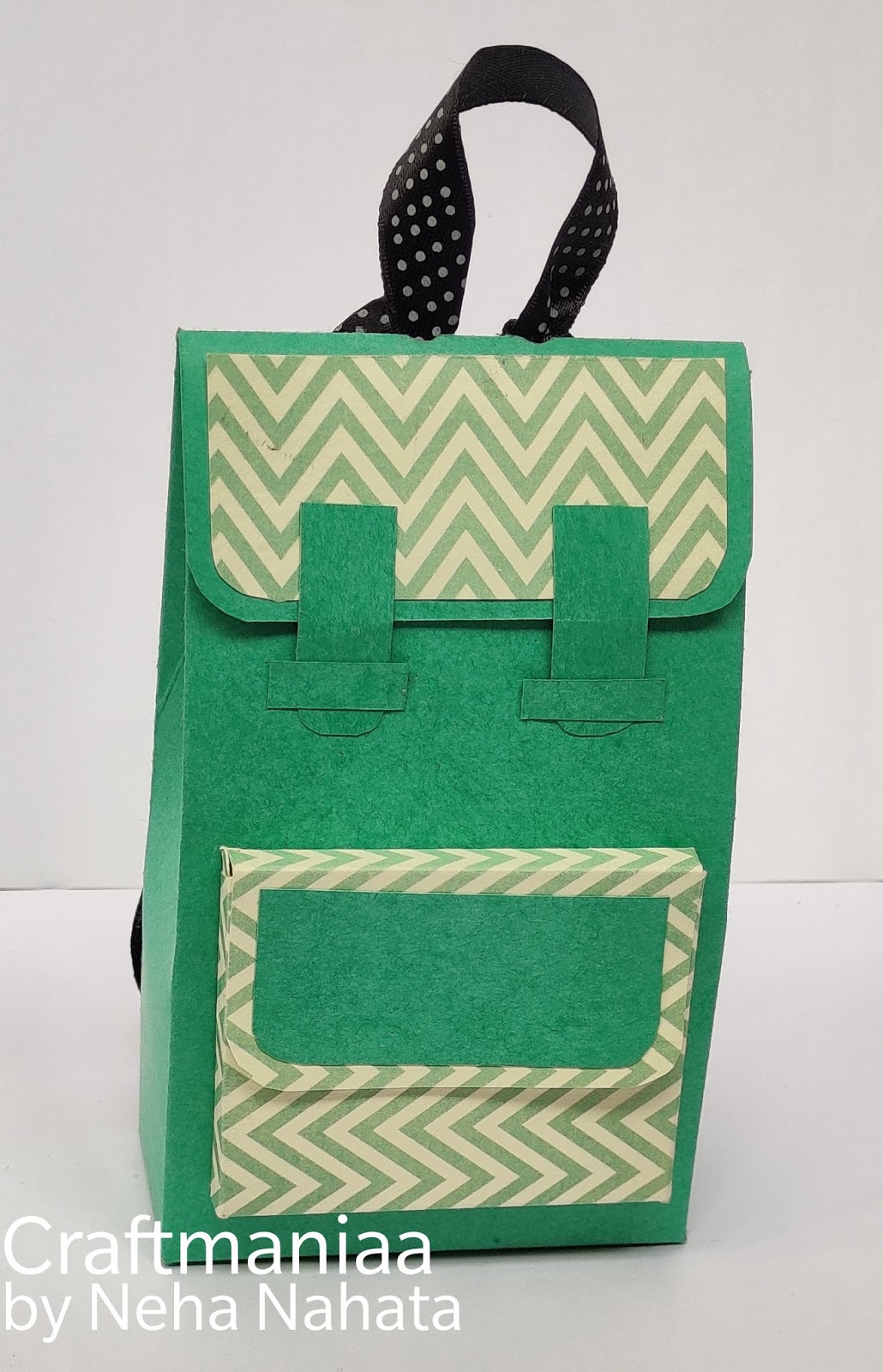 Mini backpack gift bag
