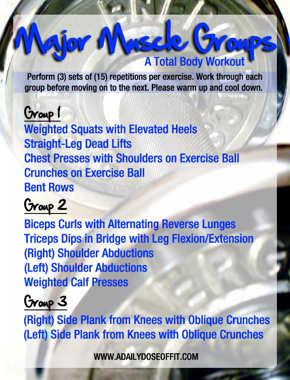 A Daily Dose of Fit: Workout Wednesday: Major Muscle Groups