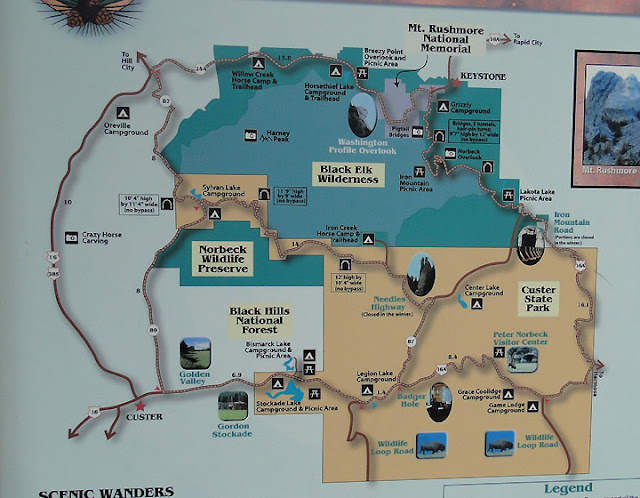 Reflections From the Fence: THE Trip, Custer State Park, Wildlife Loop