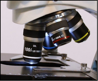 CIENCIAS BIOLOGICAS: MICROSCOPÍA