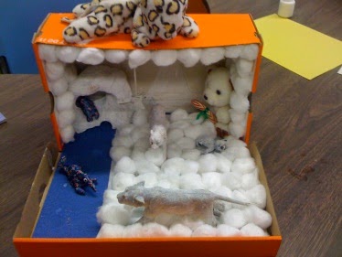 Biomes Exploration Project : Apply what you know and show off!