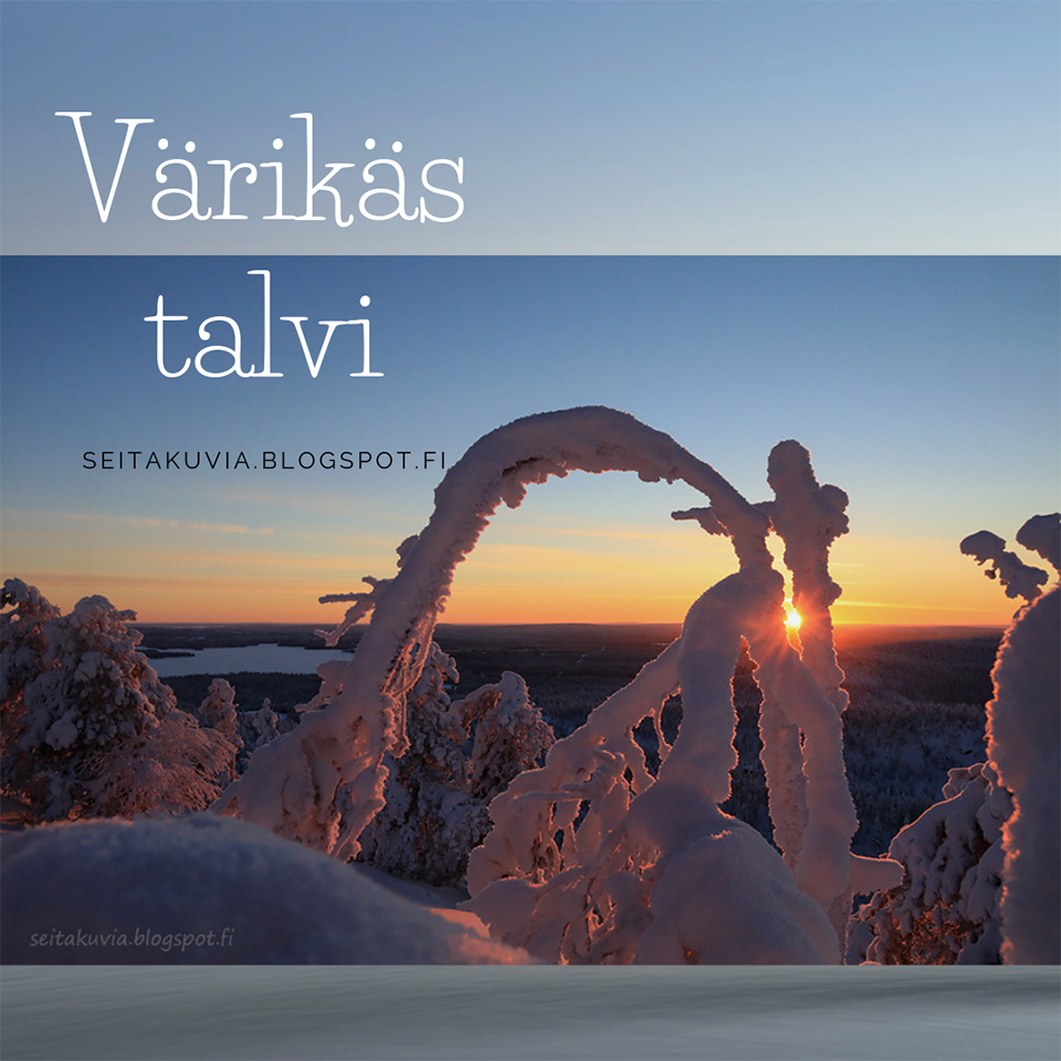 seita: Värikäs talvi
