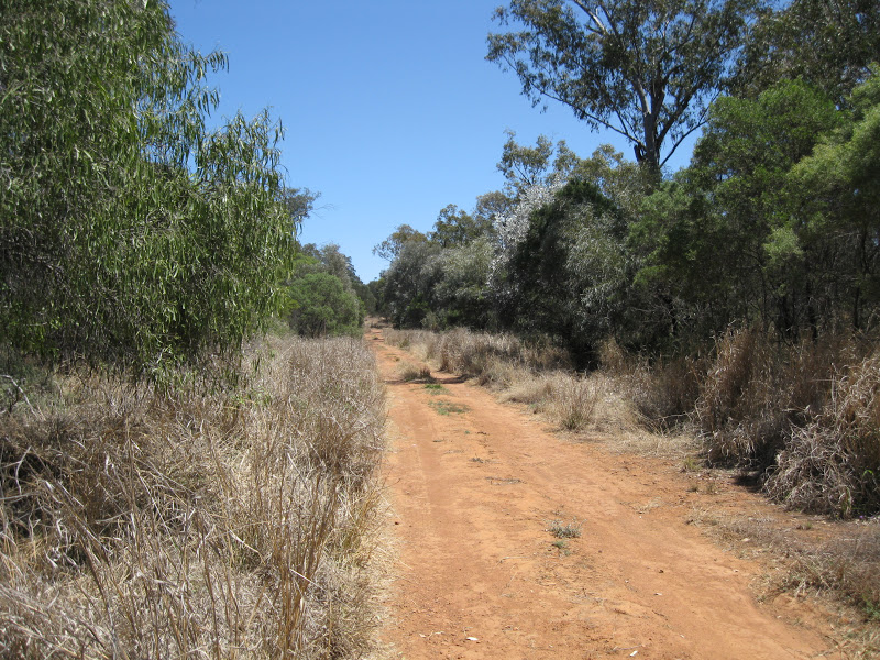 Robin's Double Life: Ooline Park; Markets; Red Gum Concert; A box of ...