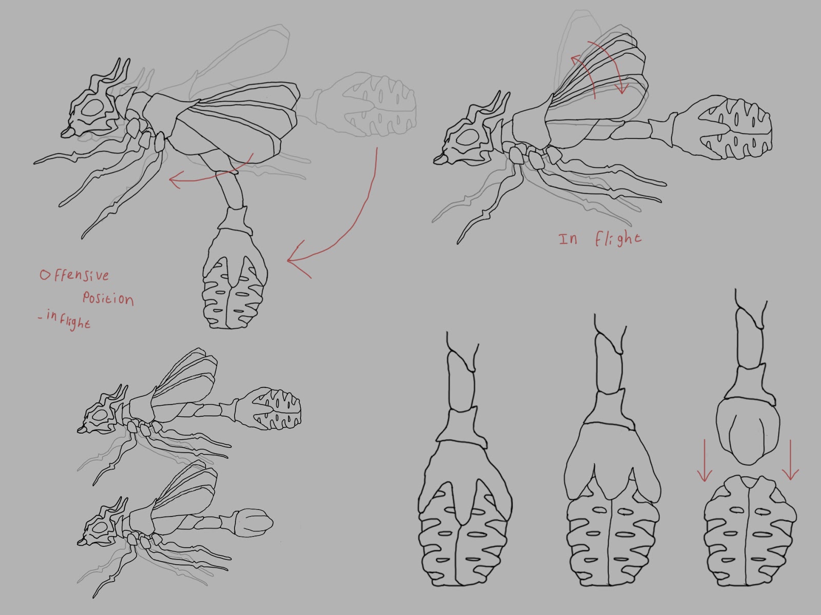 NUA Games Art Oliver Hitchen Blog: Insect Character Sheet